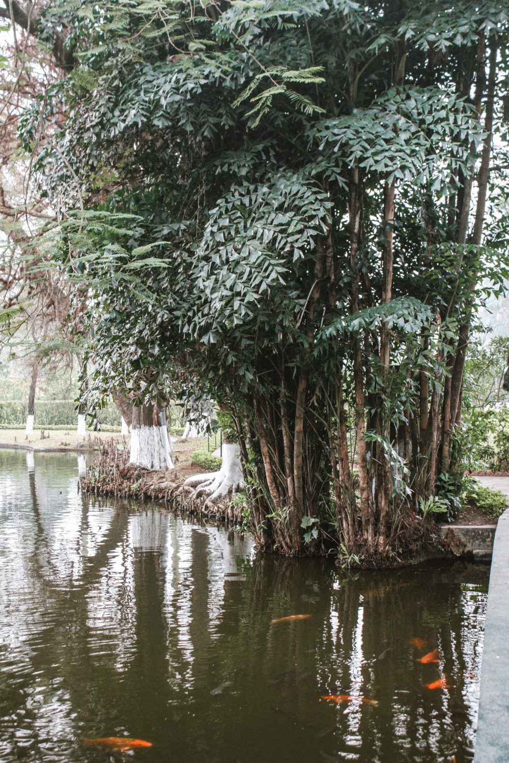 4 Days in Hanoi Itinerary | A City Guide to Vietnam's Capital