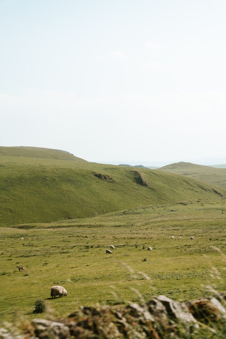 Mam Tor Walk Guide: 4 Stunning Mam Tor Walks For All