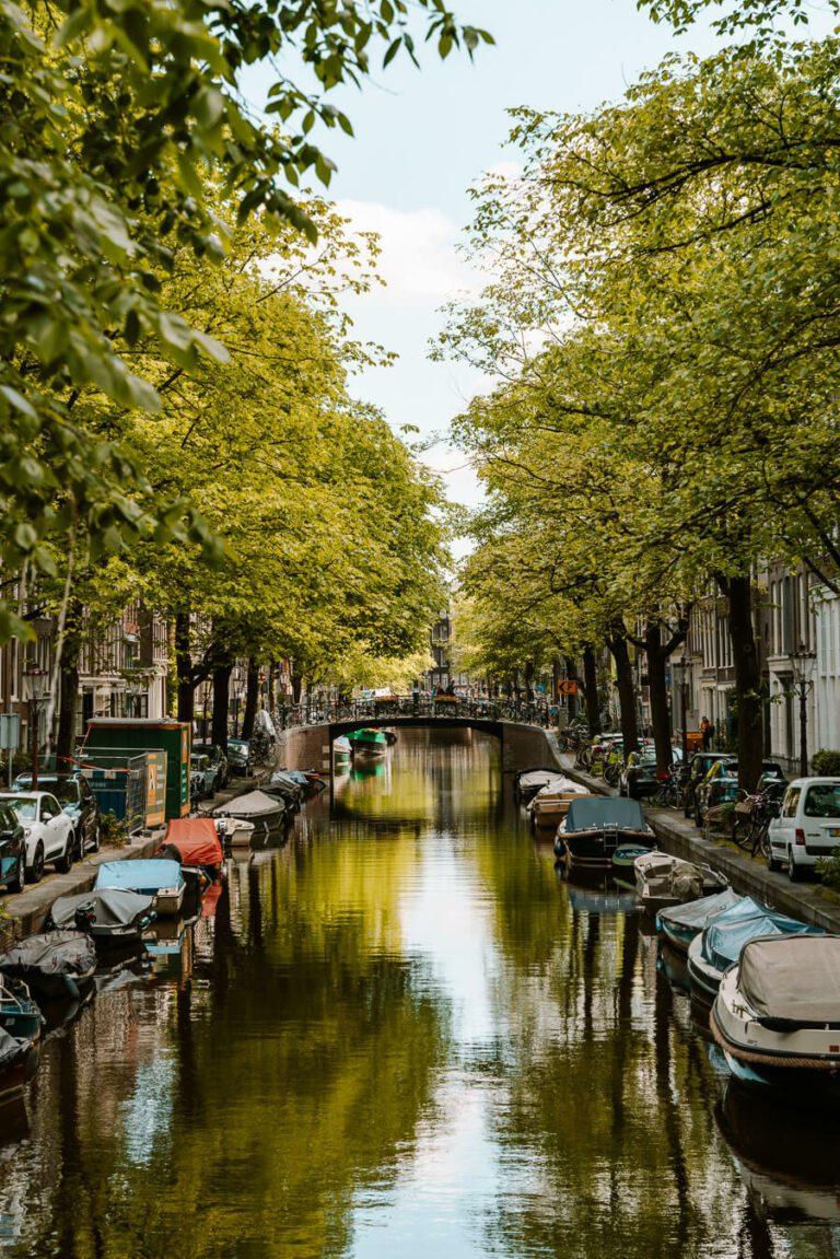 The Best time to Visit Amsterdam: A Month by Month Guide