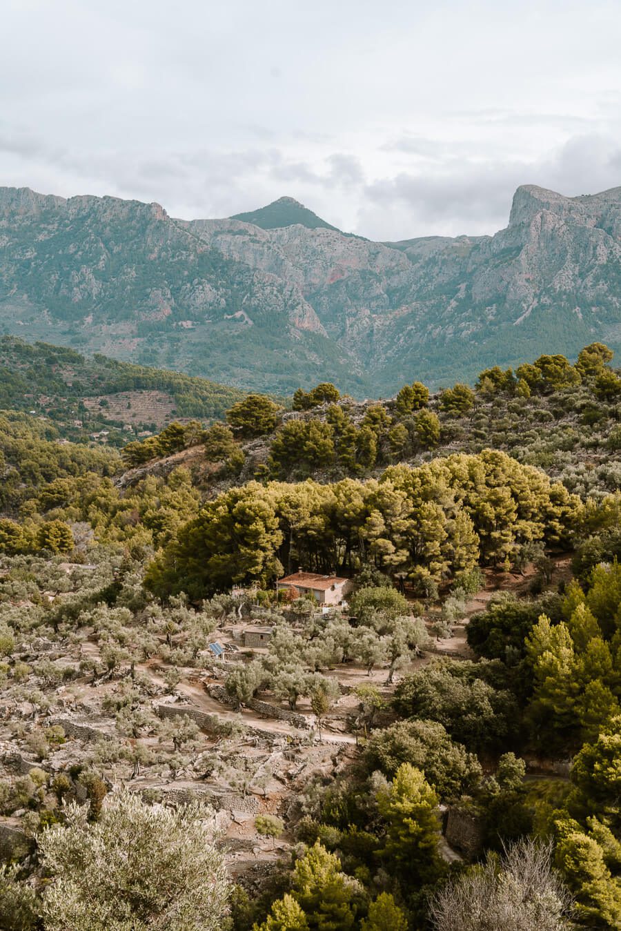 What to Do in Mallorca Spain: 49+ Amazing Things to Do